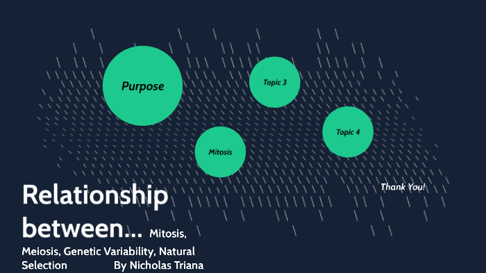 Relationship Mitosis, Meiosis, Genectic variability, Natural selection ...