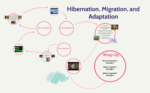 Hibernation, Migration, and Adaptation by Katie Holman on Prezi