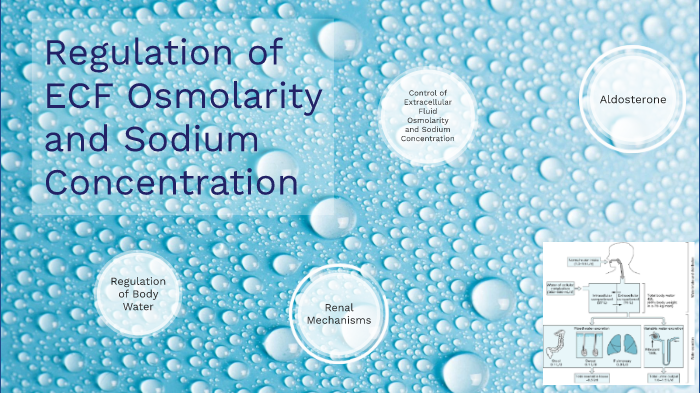 Regulation of ECF Osmolarity and Sodium Concentration by Nicole Padilla ...