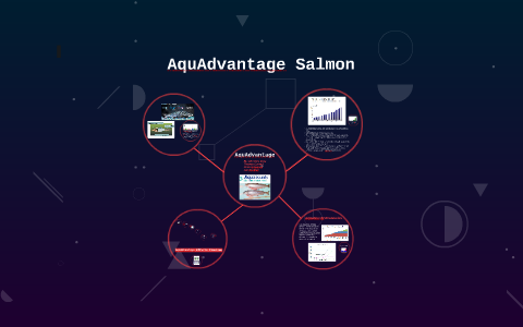 AquAdvantage Salmon by Christina Gray on Prezi