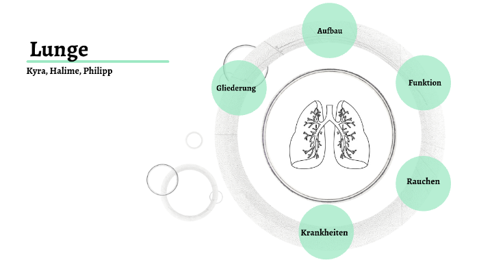 Prästentation Lunge by Kyra Zimmer on Prezi
