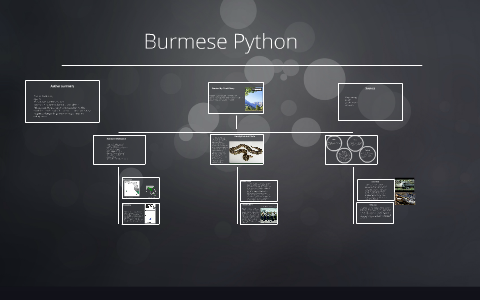 Burmese Python by Frank Perry on Prezi