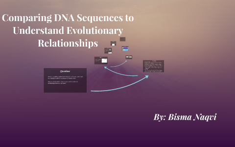 Comparing DNA Sequences to UNderstand Evolutionary Relations by on Prezi