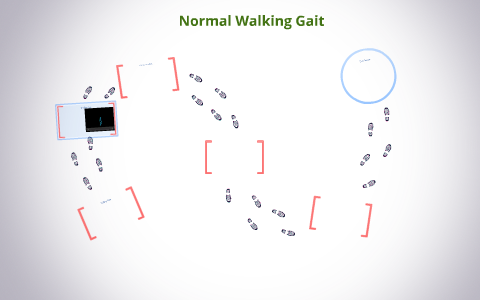 Normal Walking Gait by on Prezi