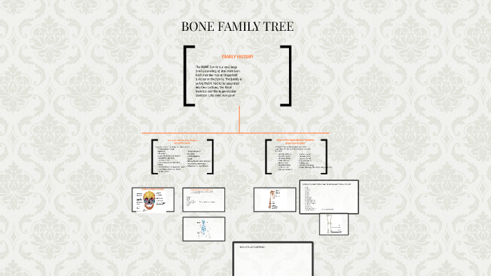 BONE FAMILY TREE by kiara santos on Prezi