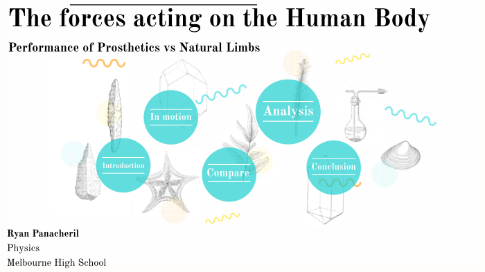 Forces acting on the human body by Dylan Panacheril on Prezi