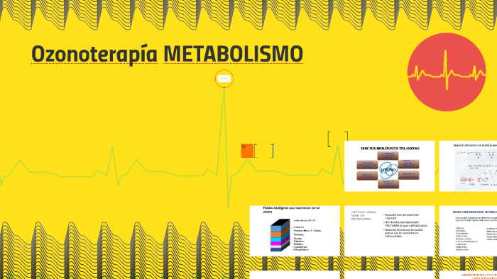 metabolismo CELULAR by ozonoterapia veterinaria Ozonovet on Prezi