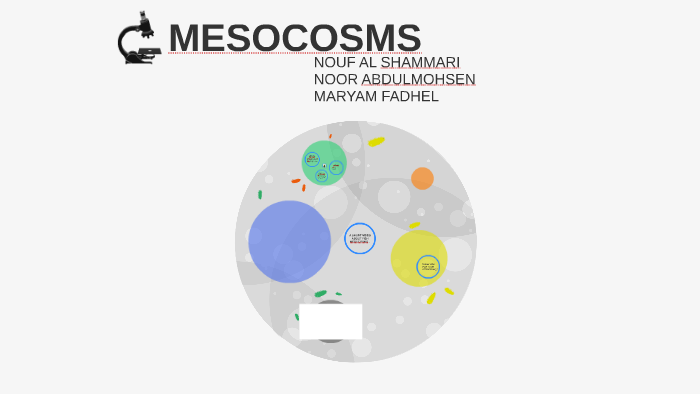 MESOCOSMS by maryam fadhel on Prezi