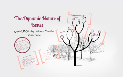 The dynamic nature of bones by Rachel McCluskey on Prezi