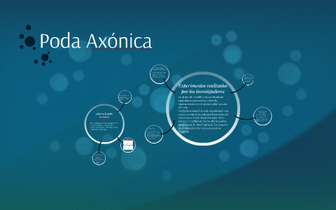 Poda Axónica by nicole madatzis on Prezi