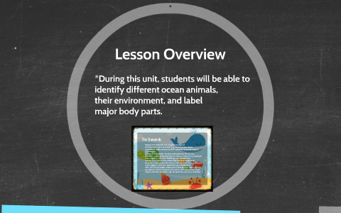 First Grade Ocean Animals Unit by Sherri Bean on Prezi