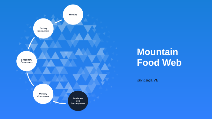 Mountain Food Web by Luqa Briffa on Prezi