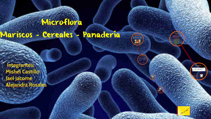 microflora by on Prezi