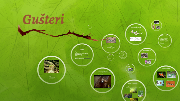 Tema: Gušteri by Ivana Mitrovic on Prezi