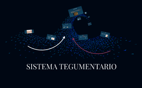 Sistema Tegumentario by Jessica Andujo on Prezi