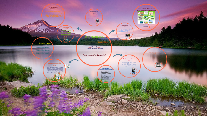 CONTAMINACIÓN AMBIENTAL by Anyi Reyes on Prezi