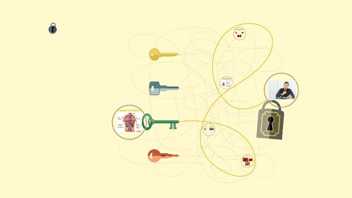 Aparato circulatorio by Julie Gamboa on Prezi