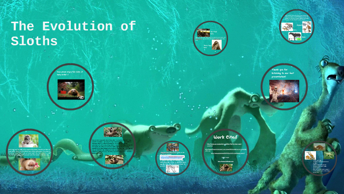 The Evolution of Sloths by Brittani on Prezi