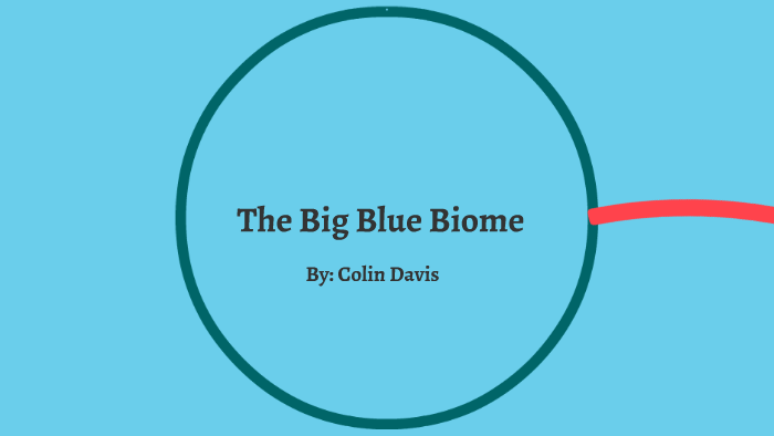 The Big Blue Biome by Abraham Jorge