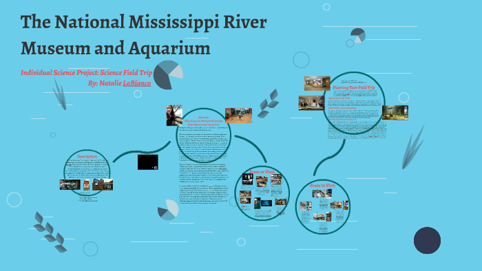 The National Mississippi River Museum and Aquarium by Natalie LoBianco