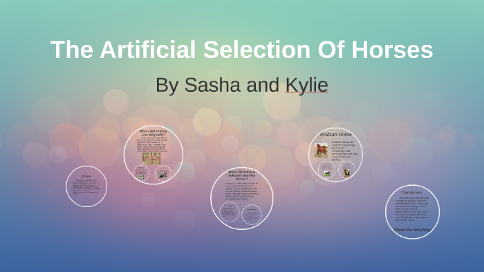 Artificial Selection: Horses, Sasha And Kylie by Skylie Grakasu on Prezi