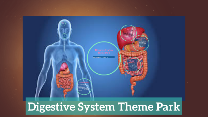 DIgestive theme park by karey stone on Prezi