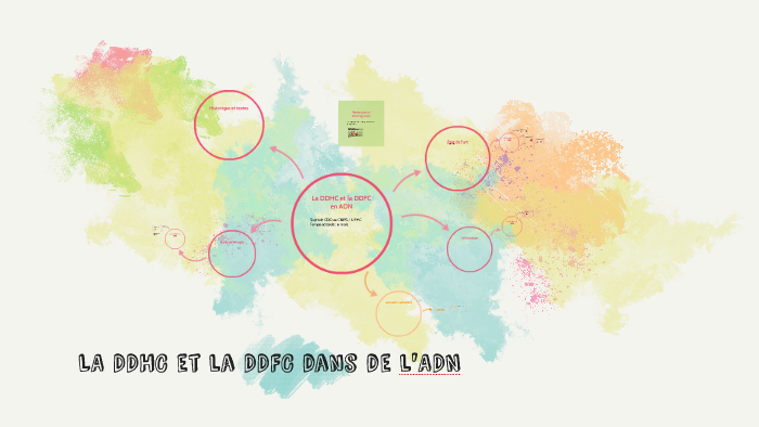 La DDHC et la DDFC en ADN by jeanne le peillet on Prezi