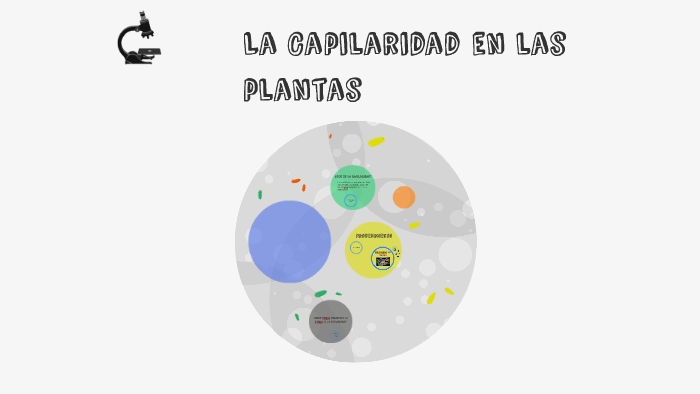 La Capilaridad en las plantas by mariana alegria astaiza on Prezi