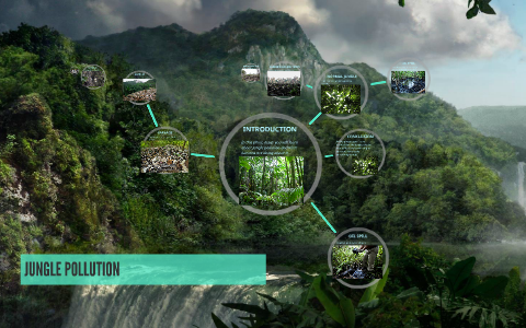 JUNGLE POLLUTION by owen liang on Prezi