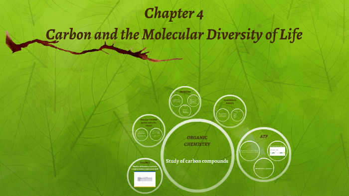 Chapter 4 Carbon and the Molecular Diversity of Life by Nirupama ...
