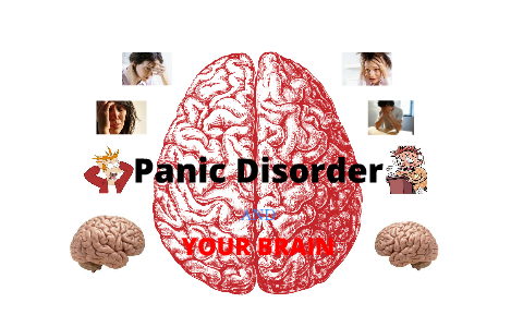 Human Anatomy- Brain: Panic Disorder by Jessica Brewer on Prezi