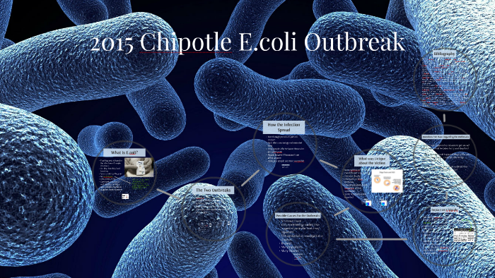 2015 Chipotle E.coli Outbreak by Chloe Adamson on Prezi