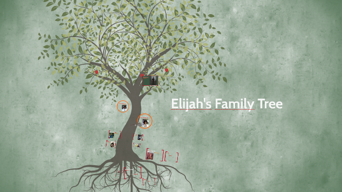 Elijah's Family Tree by Elijah Bracey on Prezi