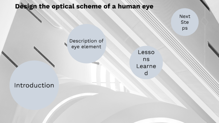Design of the optical scheme of a human eye by Navid Heidari on Prezi