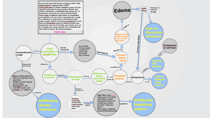Clinical Correlation Concept Map by Jannell Ramirez on Prezi
