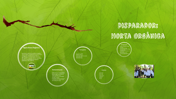 Disparador: Horta Organica by Jennifer Andreotti