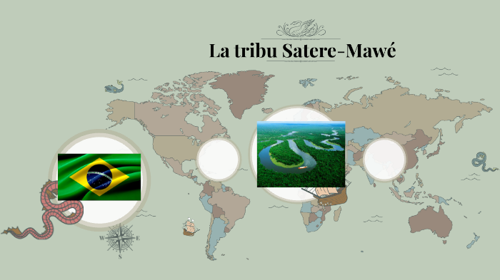 La tribu Satere-Mawé by Orlando Gutierrez on Prezi