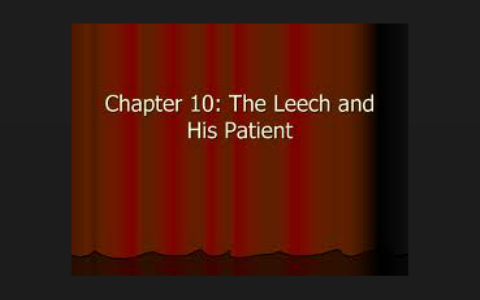 The Scarlet Letter: Chapter 10: The Leech and His Patient by Louis ...