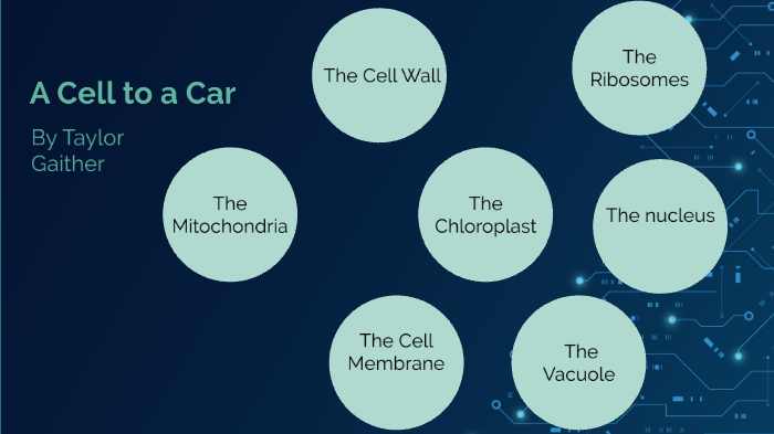A cell to a Car by taylor gaither on Prezi