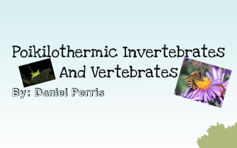 Poikilothermic Invertebrates by Daniel Perris on Prezi
