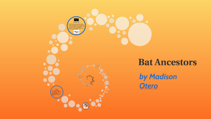 Bat Ancestors by Madison Otero on Prezi
