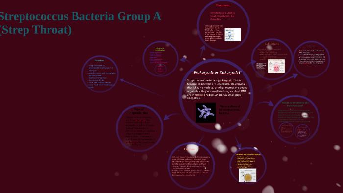 Streptococcal Bacteria (Strep Throat) by Jessica Petrocco on Prezi