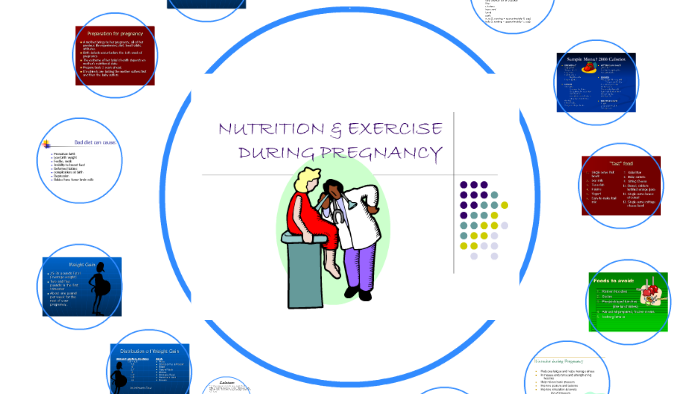 Creating a MyPlate for Pregnancy by Katie Potter on Prezi