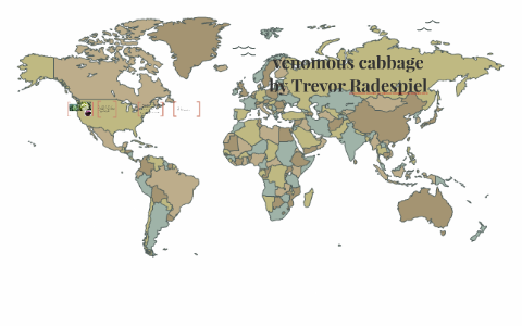 venomous cabbage by shawna jeffers on Prezi