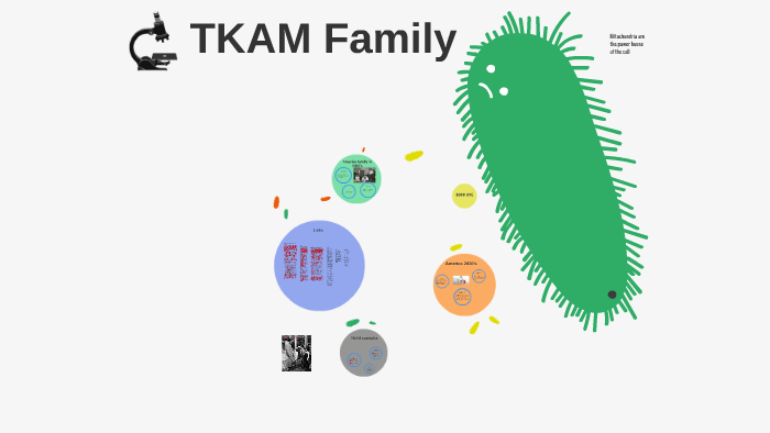 TKAM Family by William West on Prezi