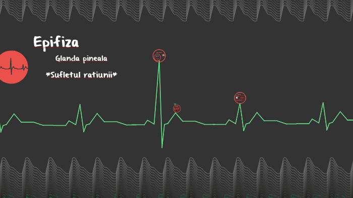 Epifiza by Delia Stroie on Prezi