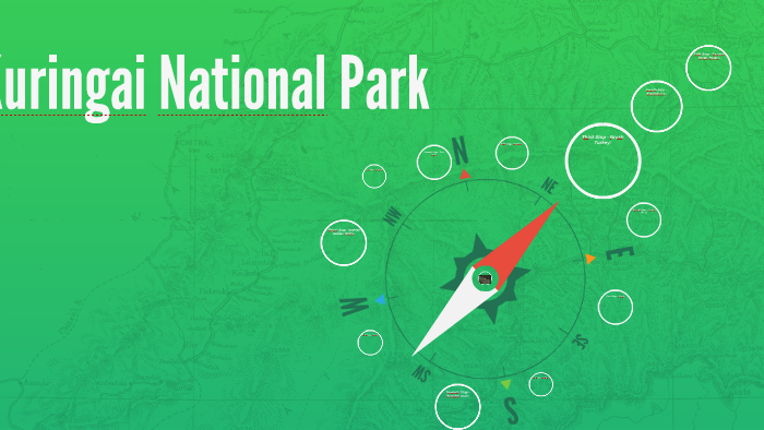 Kuringai National Park by Ella Aivazian on Prezi