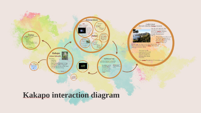 Kakapo interaction diagram by Erin Strong on Prezi