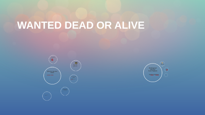 WANTED DEAD OR ALIVE by gillian dunne on Prezi
