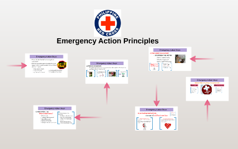 Emergency Action Principles by Abbey Paradan on Prezi